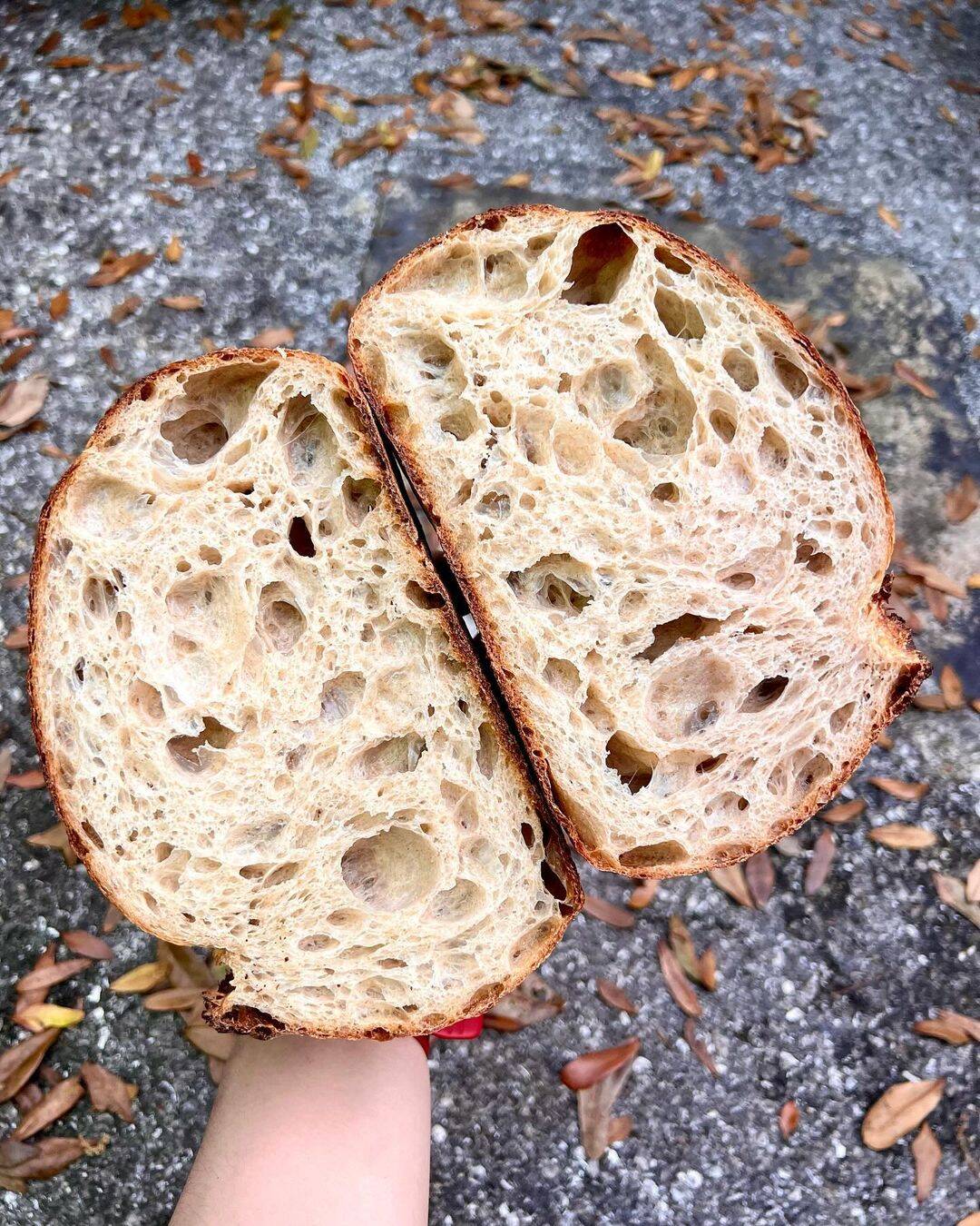 The Science Behind the Holes in Bread: A Deeper Look into Fermentation ...